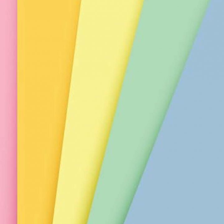 Full Color Flyer Printing | Lighthouse Printing