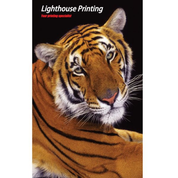 Flyers / Menus / 11x17 Size| Lighthouse Printing